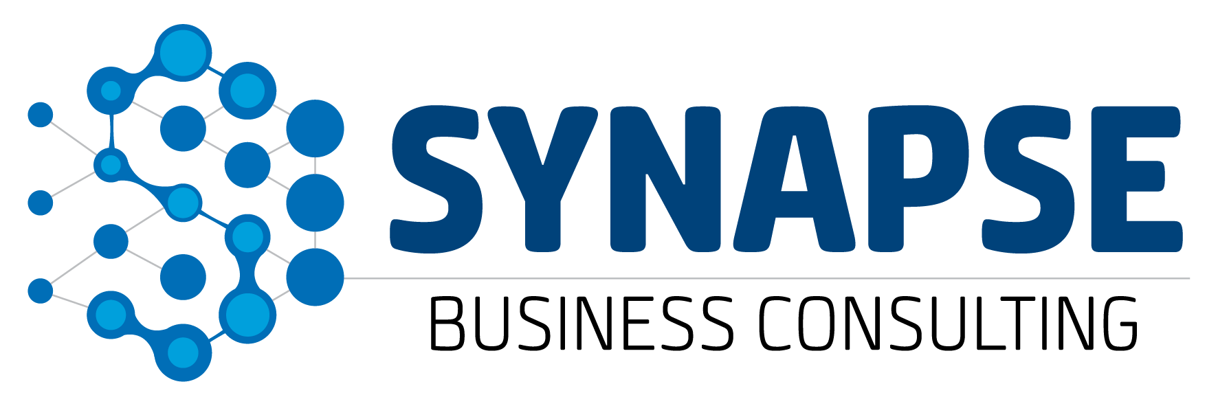 Home | Synapse Business Consulting
